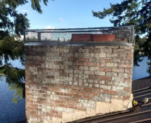 Repairs From Critter Damage : Critter Control of Seattle